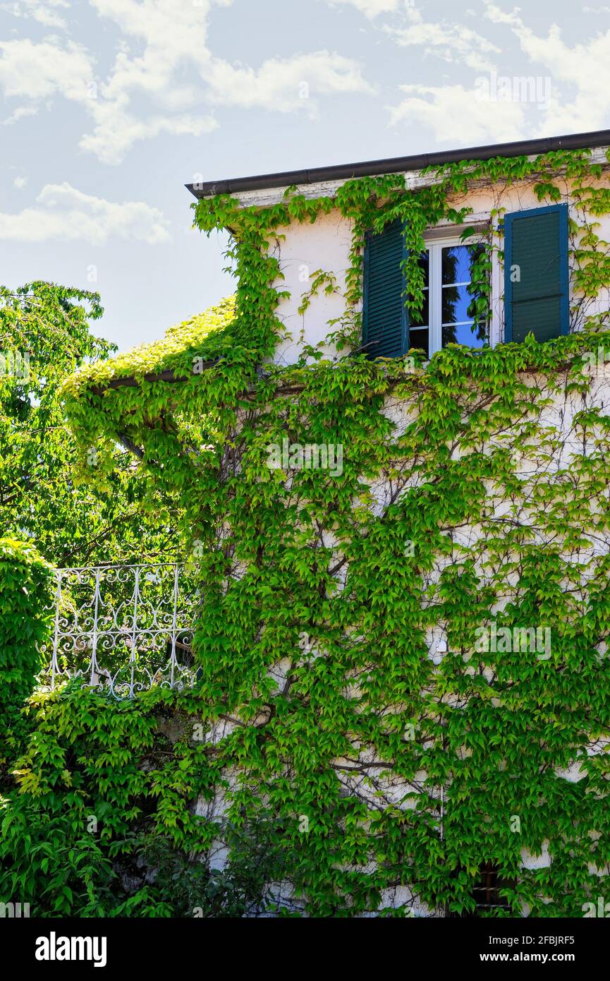 Plats wall garden hi-res stock photography and images - Alamy