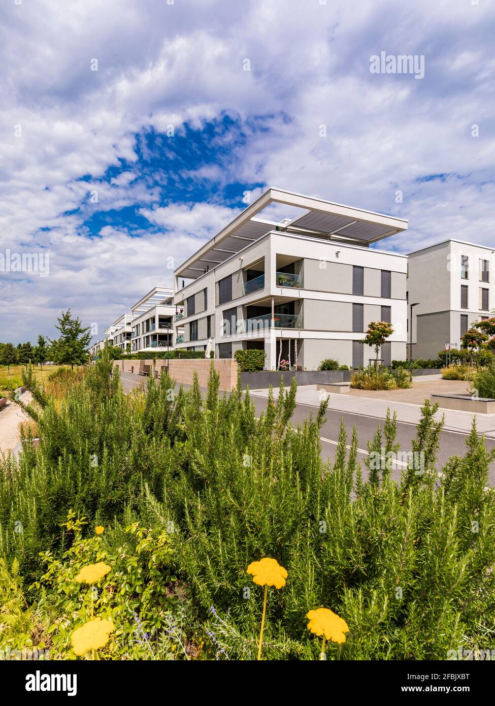 Passive house development area, Bahnstadt, Heidelberg, Germany Stock ...