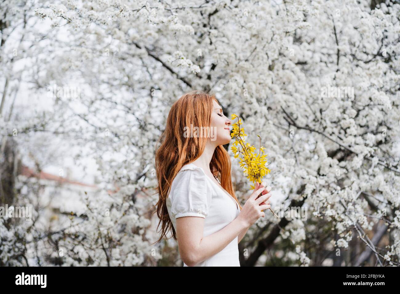 Woman smelling flower in park hi-res stock photography and images - Alamy