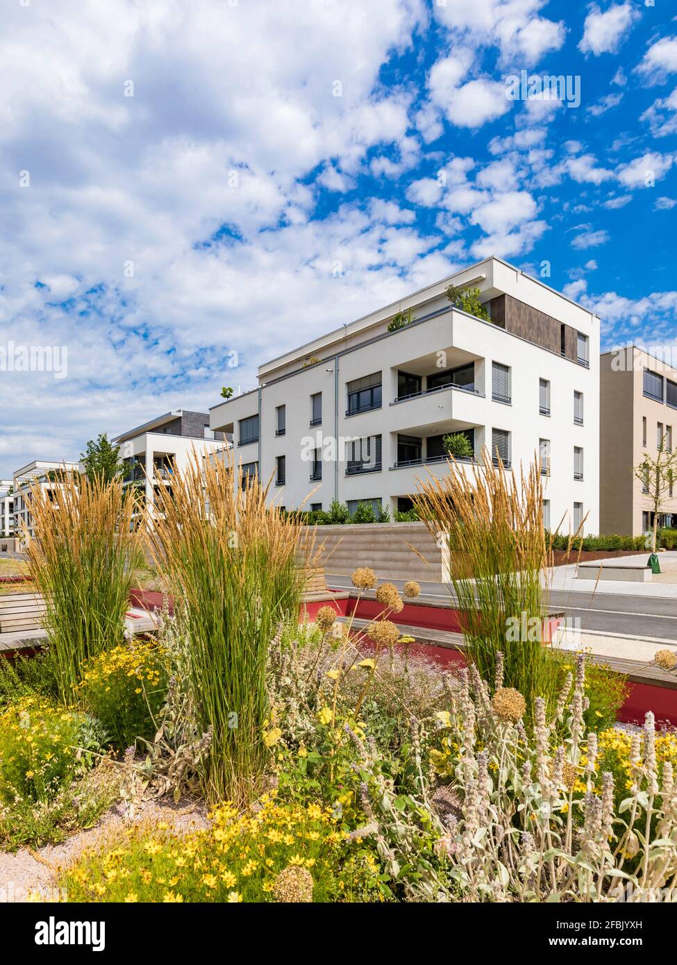 Passive house development area, Bahnstadt, Heidelberg, Germany Stock ...