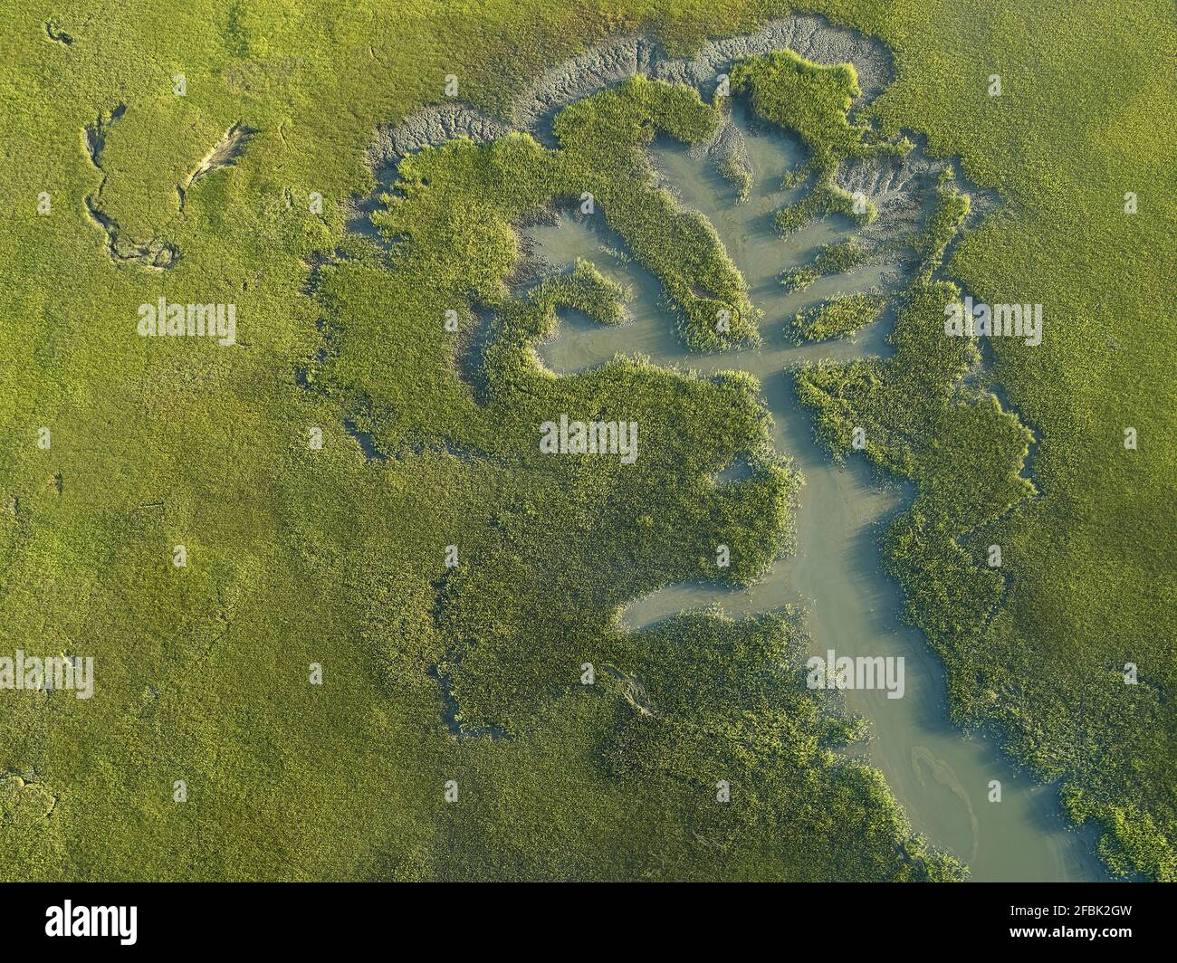Aerial view over marshes of the Machipongo River, Accomack County ...