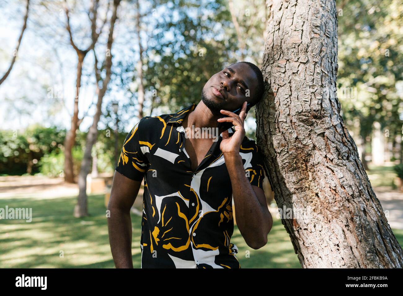 Talking tree hi-res stock photography and images - Alamy