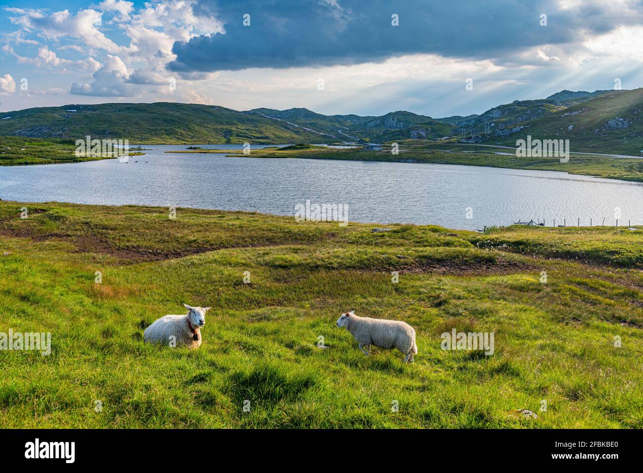 Setesdalen hi-res stock photography and images - Alamy