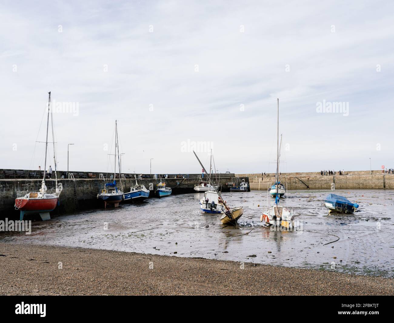 A mixture of pleasure craft, yachts and lobster fishing boats at low ...