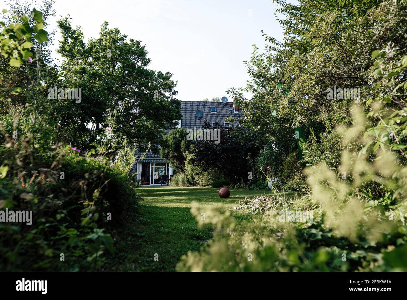 Empty backyard garden hi-res stock photography and images - Alamy