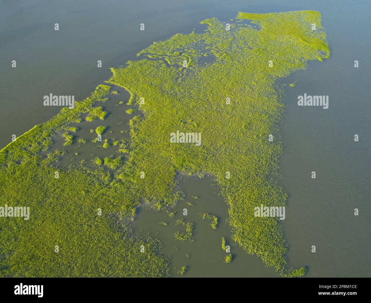 Aerial view over marshes of the Machipongo River, Accomack County ...