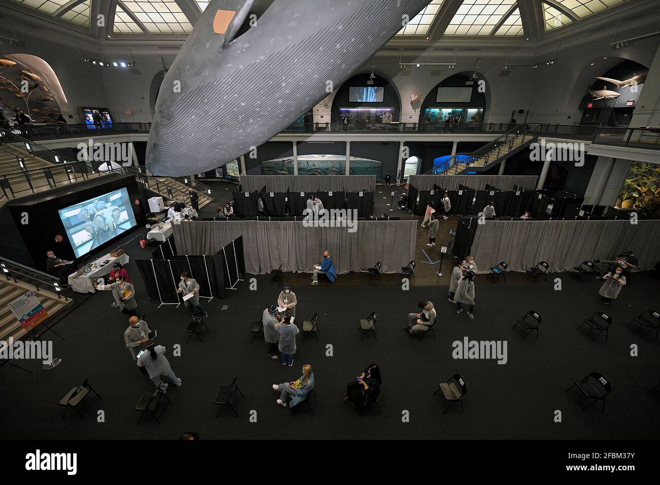 Ocean hall natural history museum hi-res stock photography and images ...