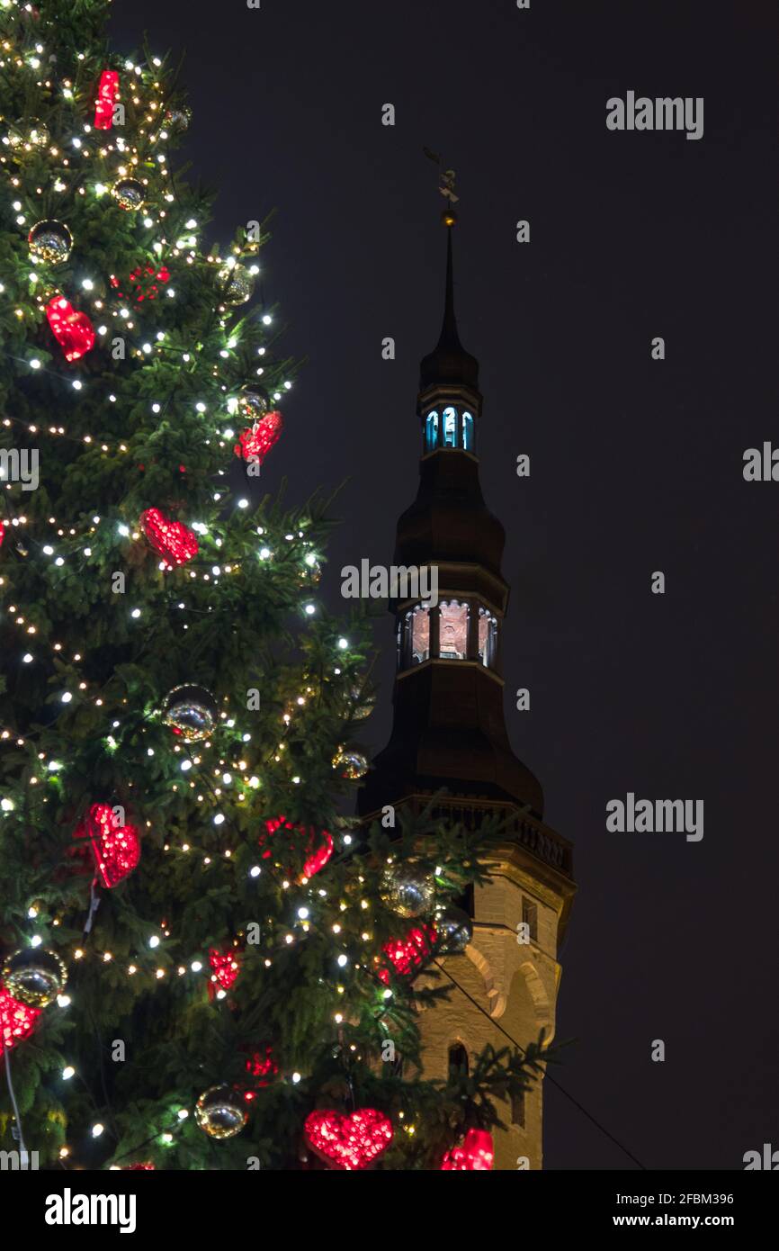 Christmas tree and tower of Town Hall. Tallinn, Estonia Stock Photo - Alamy