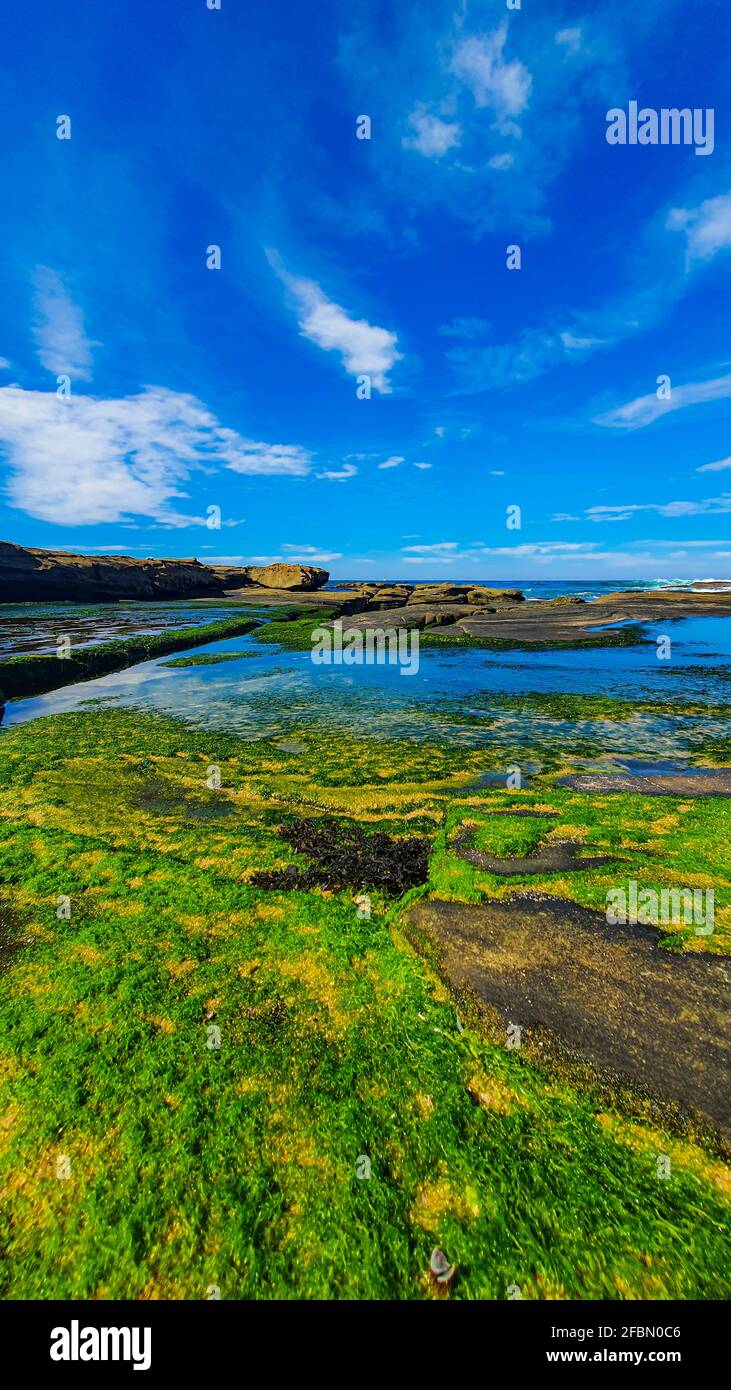 Mossy beach under blue sky Stock Photo - Alamy