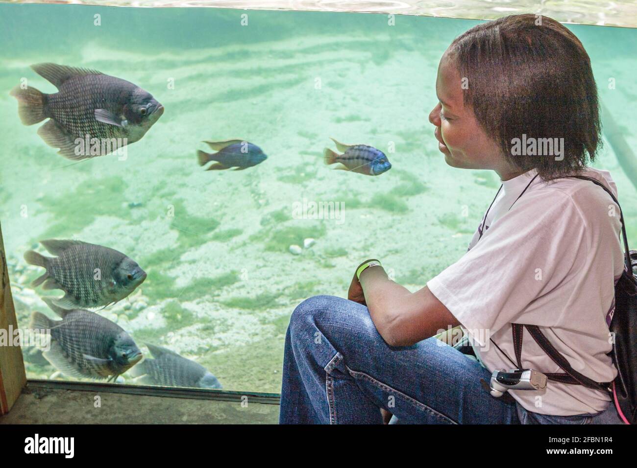 Class trip aquarium hi-res stock photography and images - Alamy