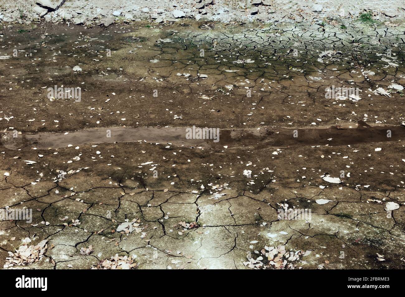 Poisoned earth. The cracked muddy ground is a poisonous stream ...