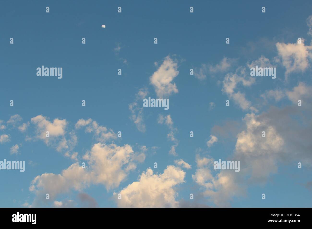 Sunshine environment hi-res stock photography and images - Alamy