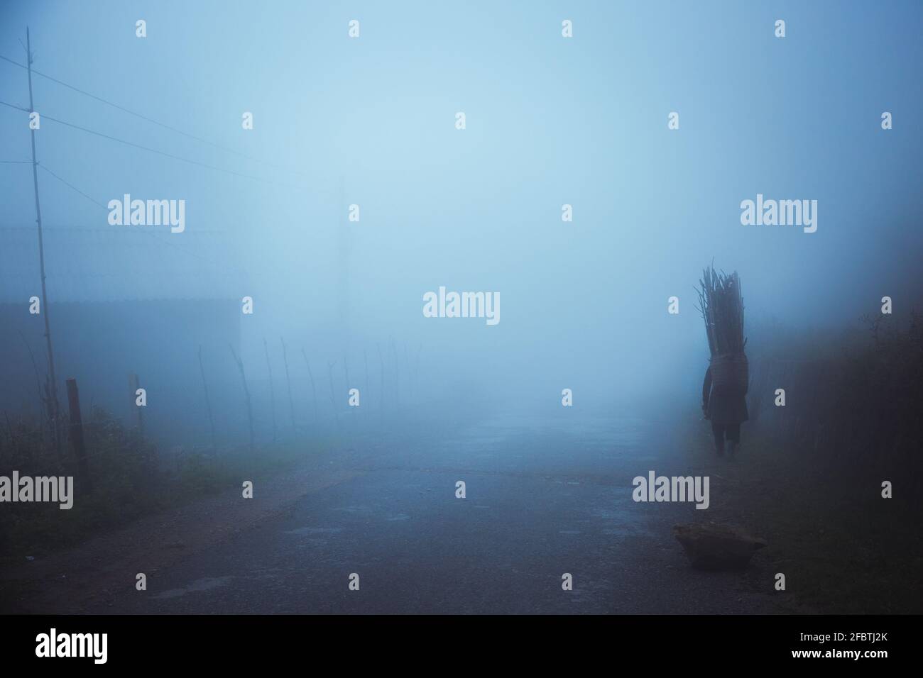 A working lady in dense fog Stock Photo - Alamy