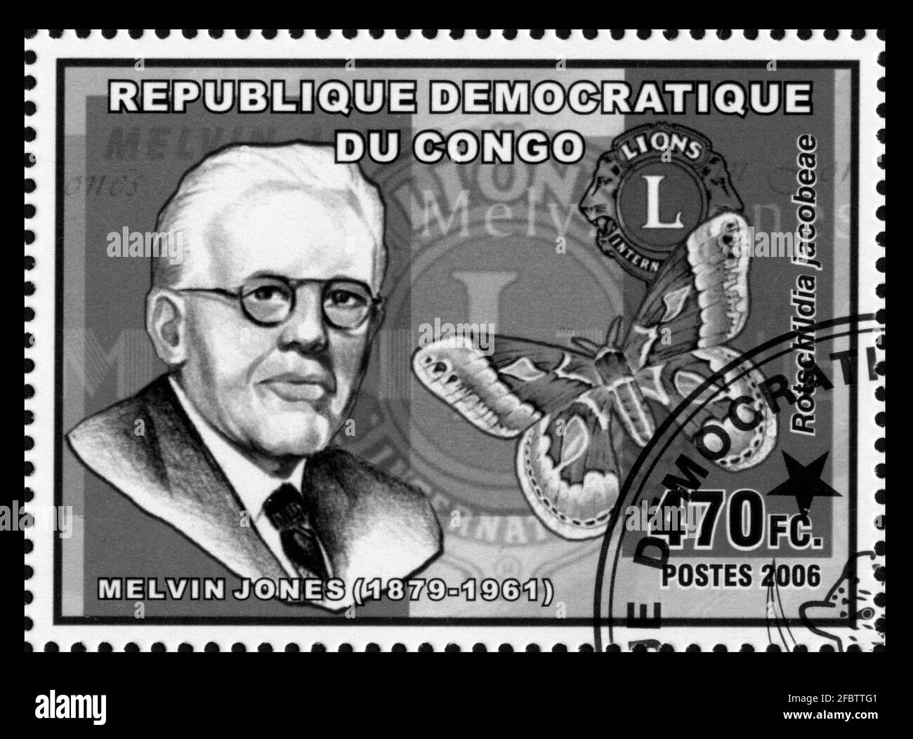 Insects of congo hi-res stock photography and images - Alamy