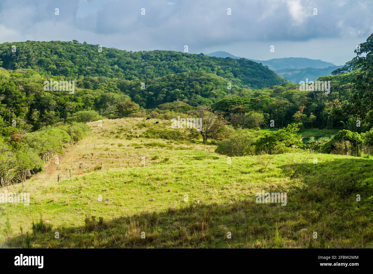 Countryside around Santa Elena village, Costa Rica Stock Photo - Alamy