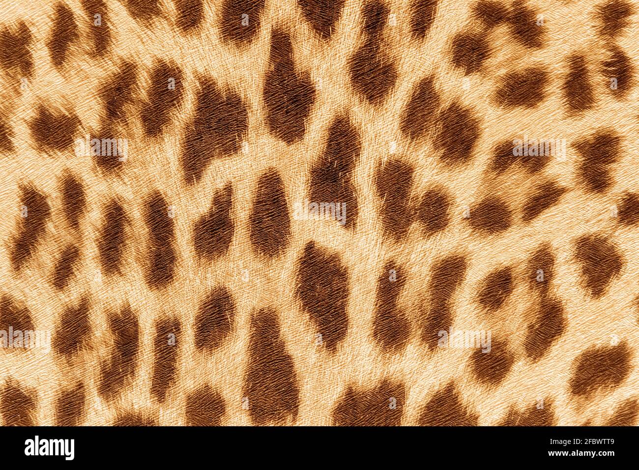 Leopard print fabric texture hi-res stock photography and images - Alamy