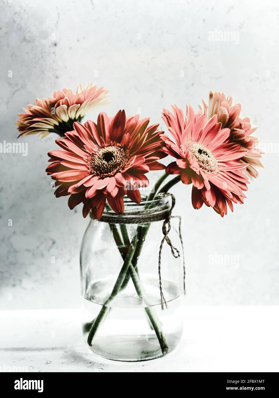 Gerbera flower arrangement hi-res stock photography and images - Alamy