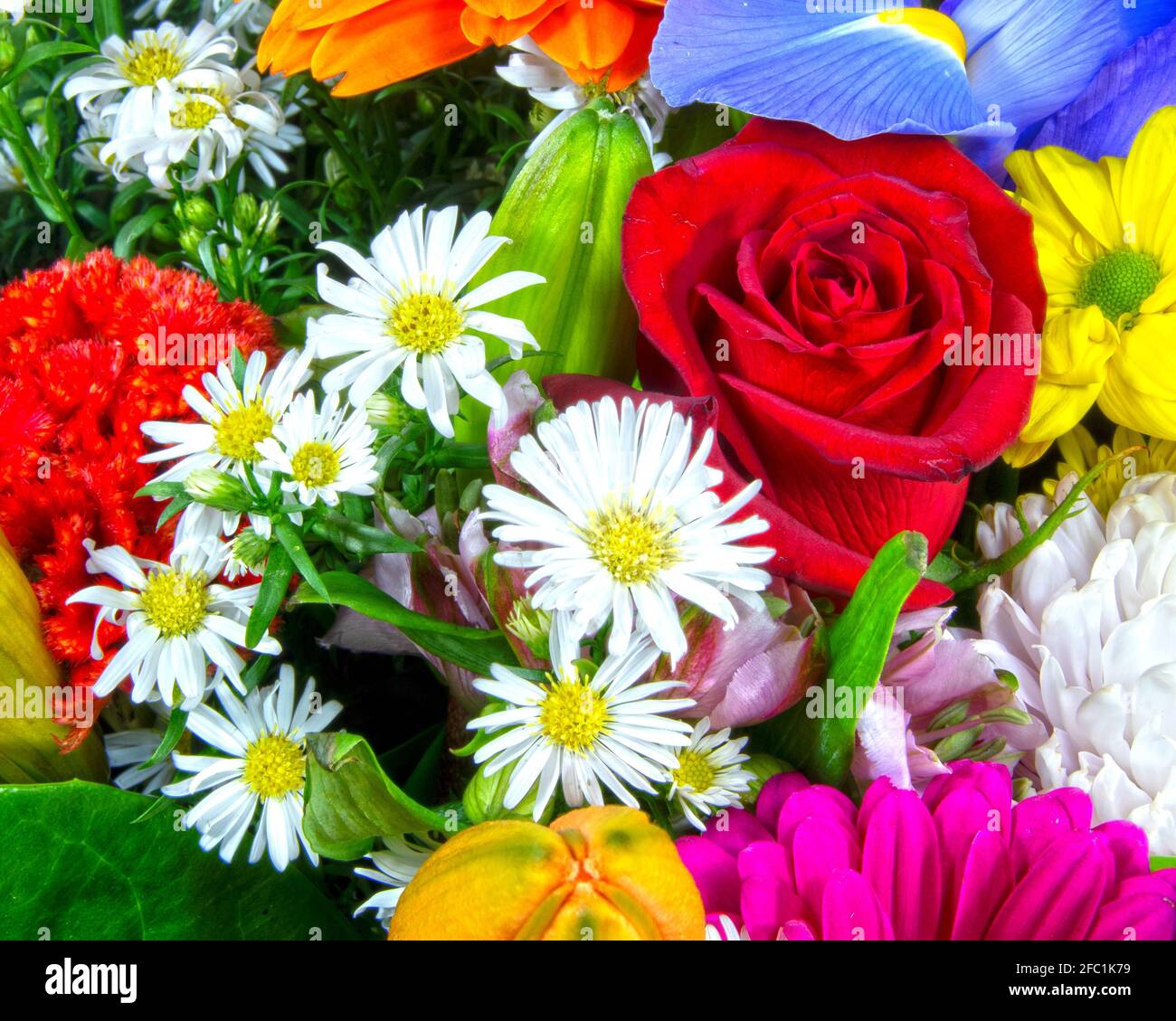 Colourful bunch of mixed flowers closeup. Australia Stock Photo - Alamy