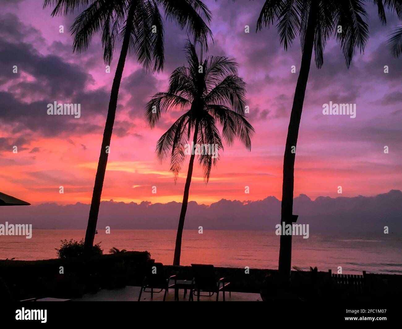 Picturesque tropical sunset palm trees hi-res stock photography and ...