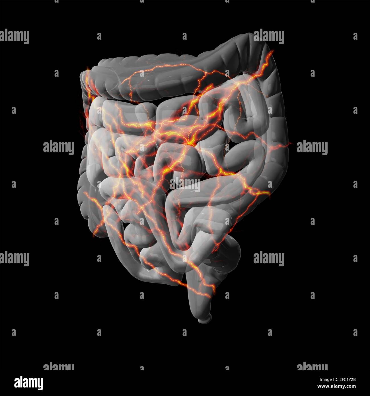 Gastro intestinal tract hi-res stock photography and images - Alamy