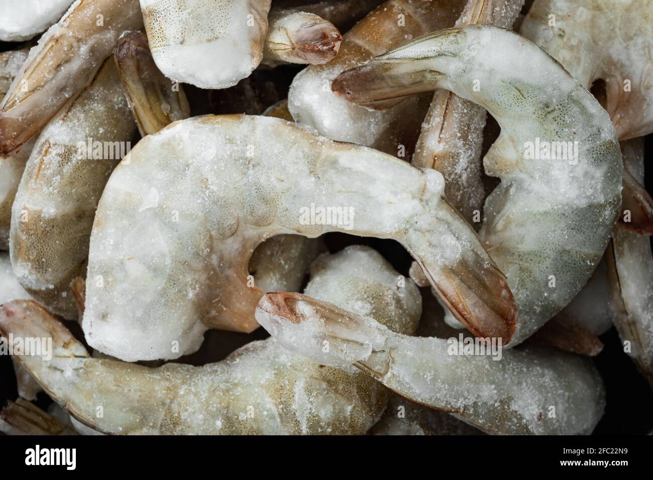 Frozen shell on Tiger Prawns or Asian tiger Shrimps set, top view flat ...