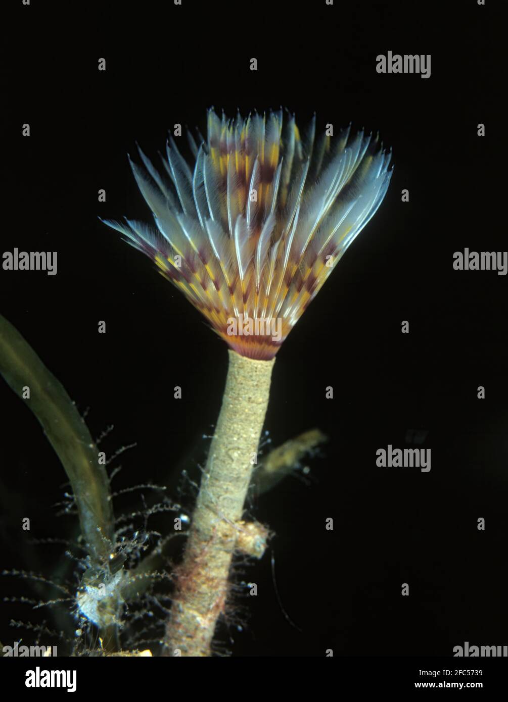 Shipwrecks Rocks High Resolution Stock Photography and Images - Alamy