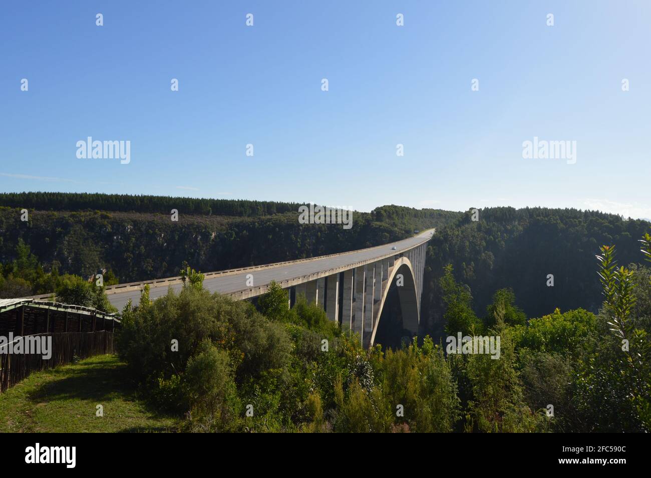 Bunji Jumping High Resolution Stock Photography and Images - Alamy