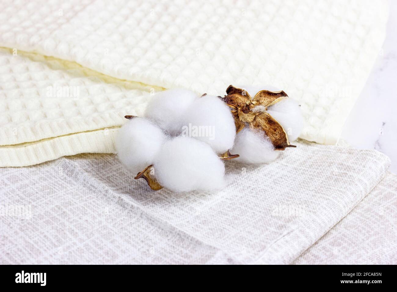 White cotton fabric flowers hi-res stock photography and images - Alamy