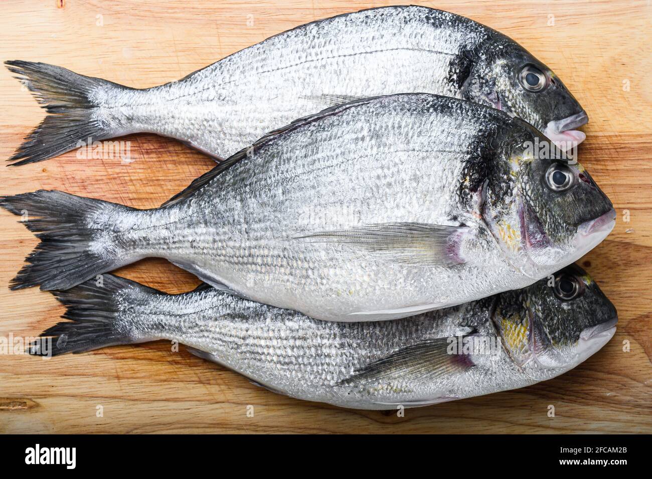 Sea Bream Fish