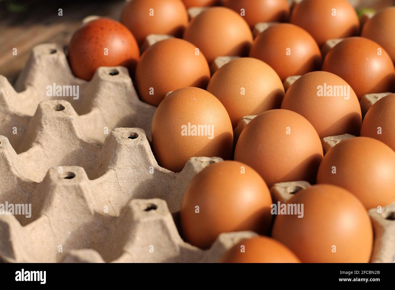 Eggs trays hi-res stock photography and images - Alamy