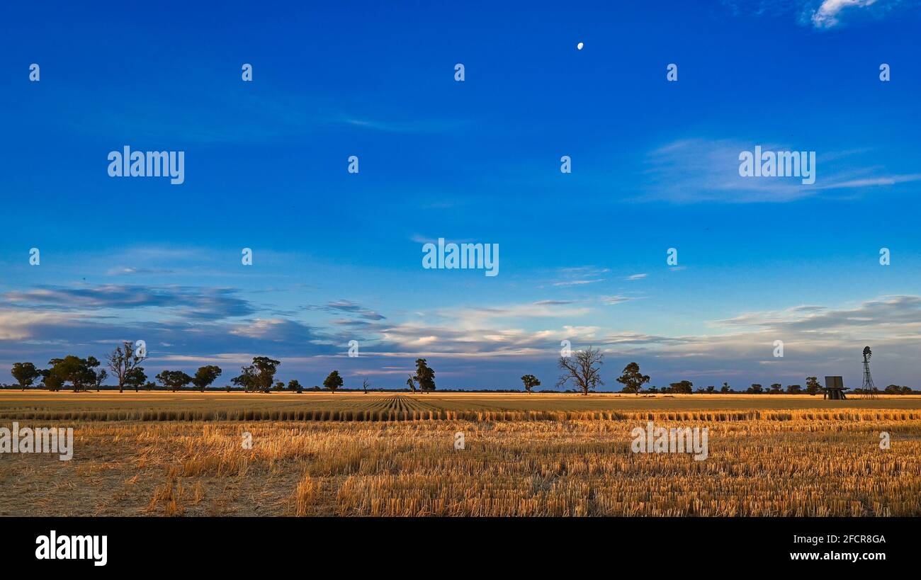 Moon Over Wheat Stubble Paddock Stock Photo - Alamy