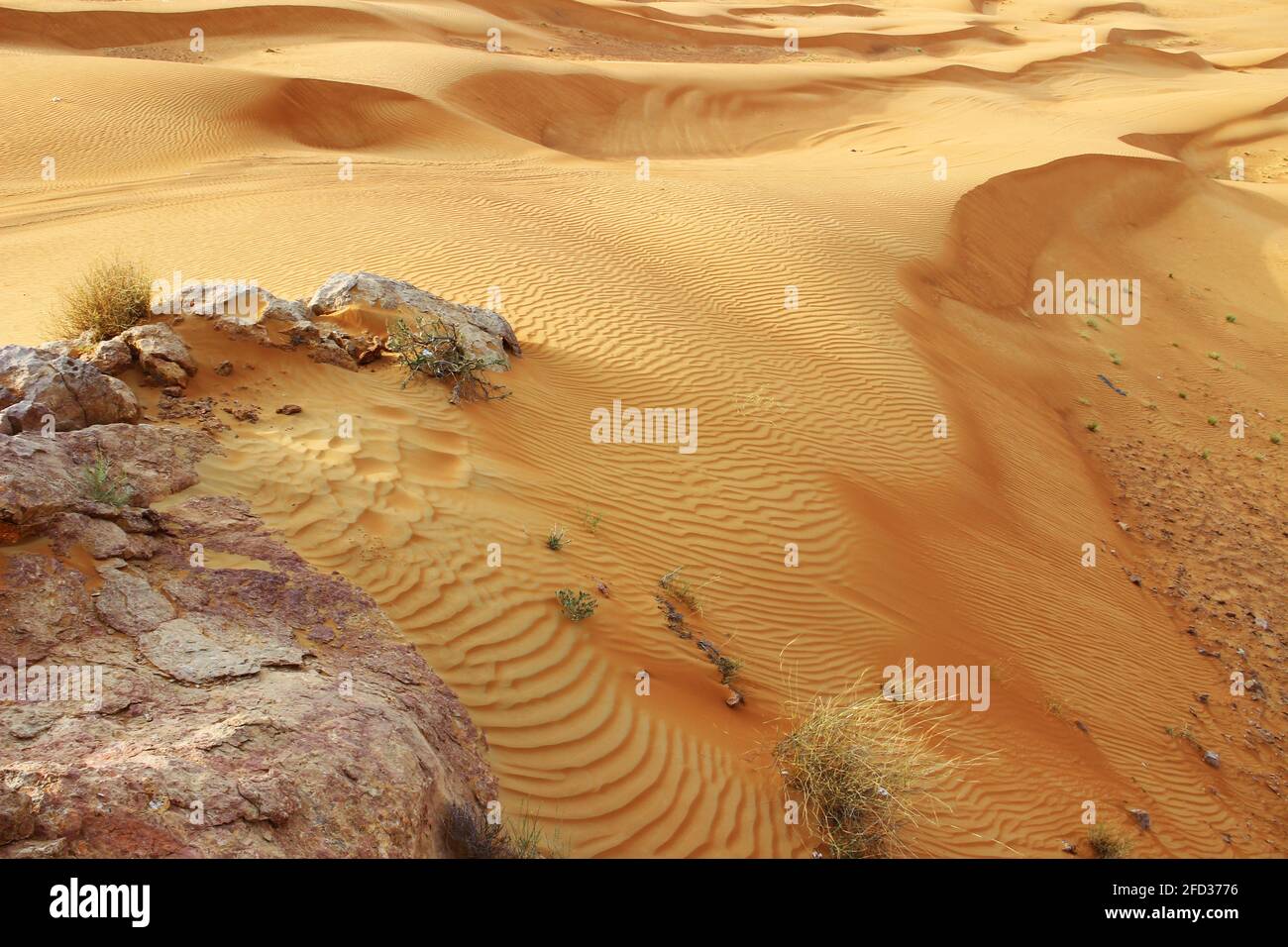 Sand dunes and blue sky. Desert landscape in Dubai, UAE Stock Photo - Alamy
