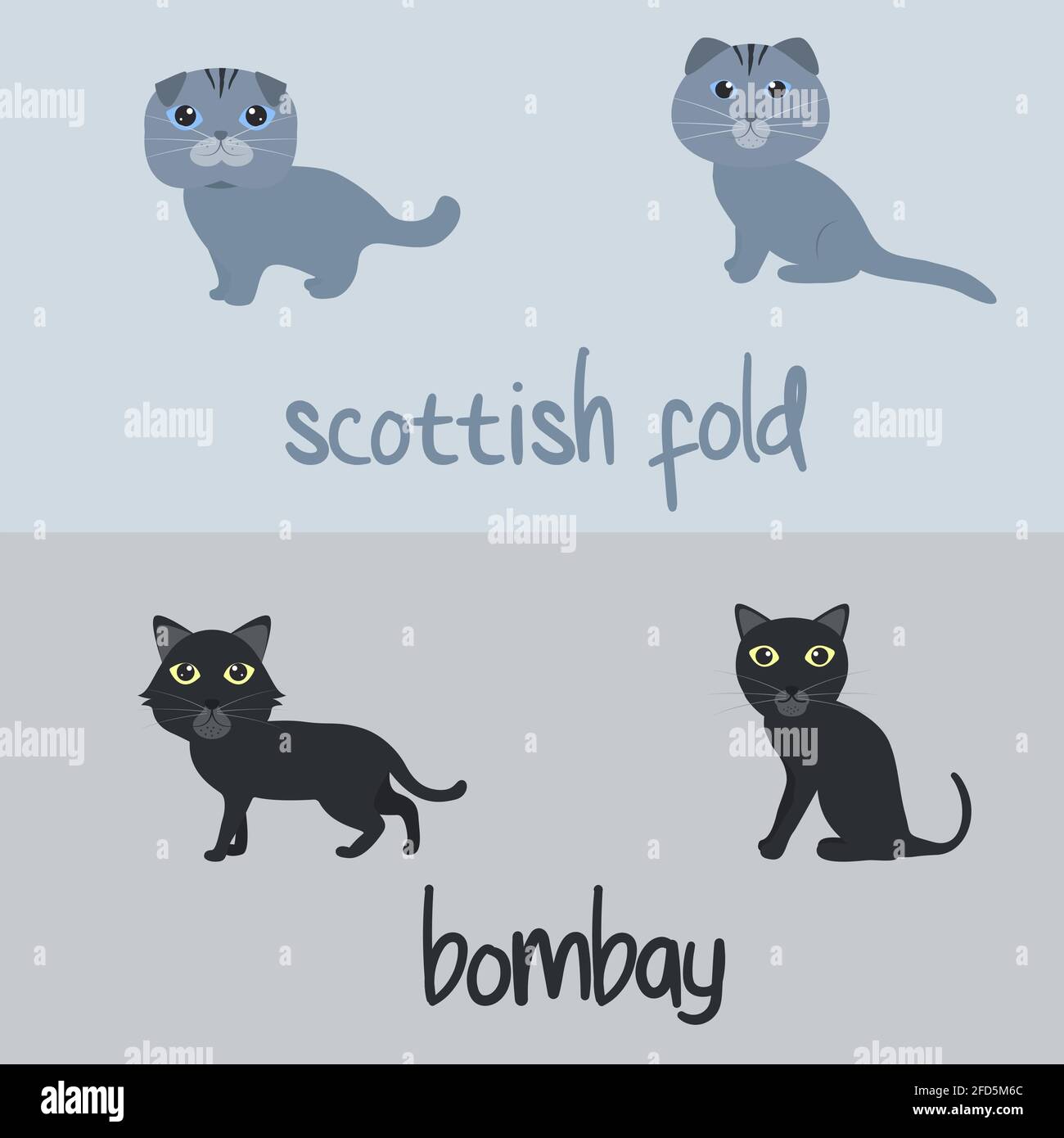 Cute Cat Breeds Seamless Pattern Cartoon Animal Illustration Type of ...