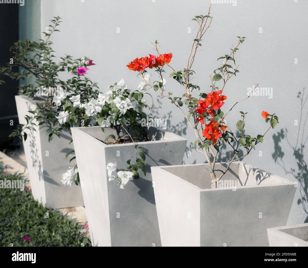 Rows of flower pots hi-res stock photography and images - Alamy
