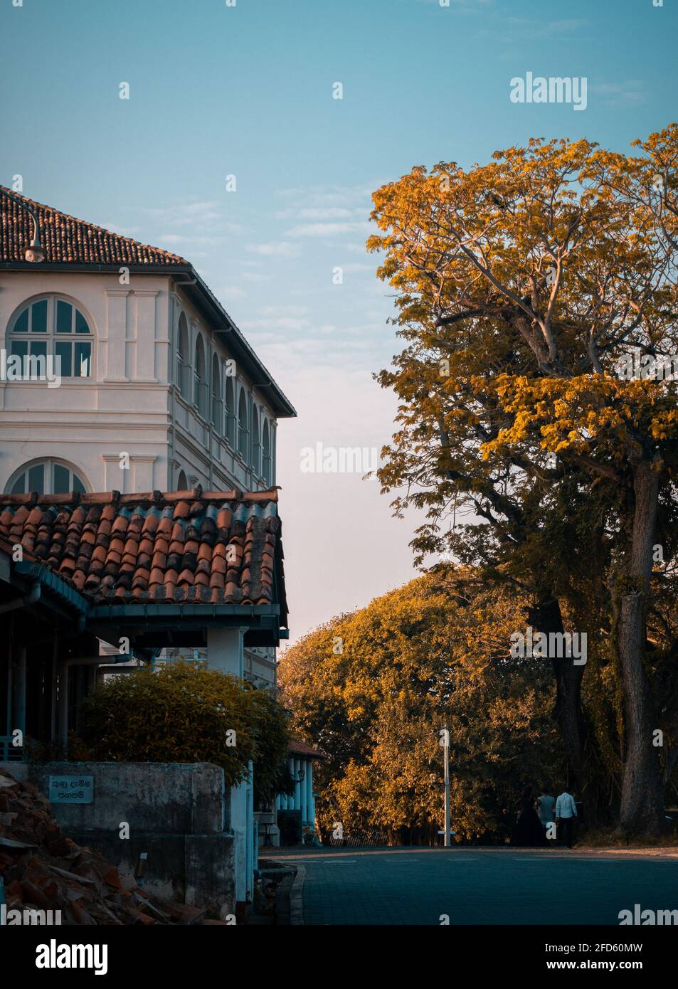 Amangalla hotel building and the tall trees and the streets in Galle ...