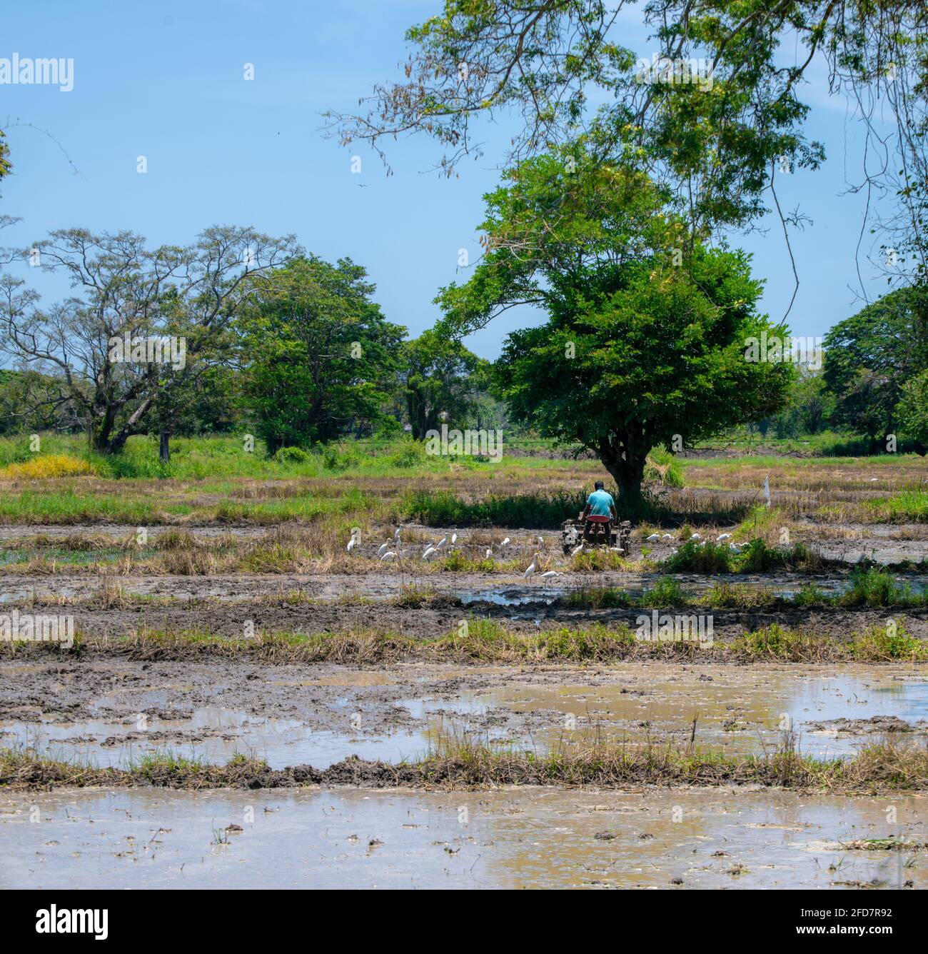 Traditional ploughing machine hi-res stock photography and images - Alamy