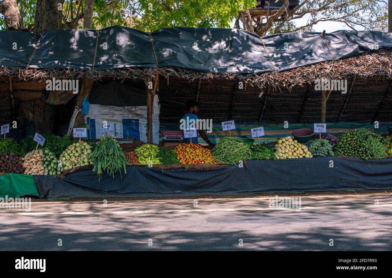 Cheap supermarket vegetables hi-res stock photography and images - Alamy