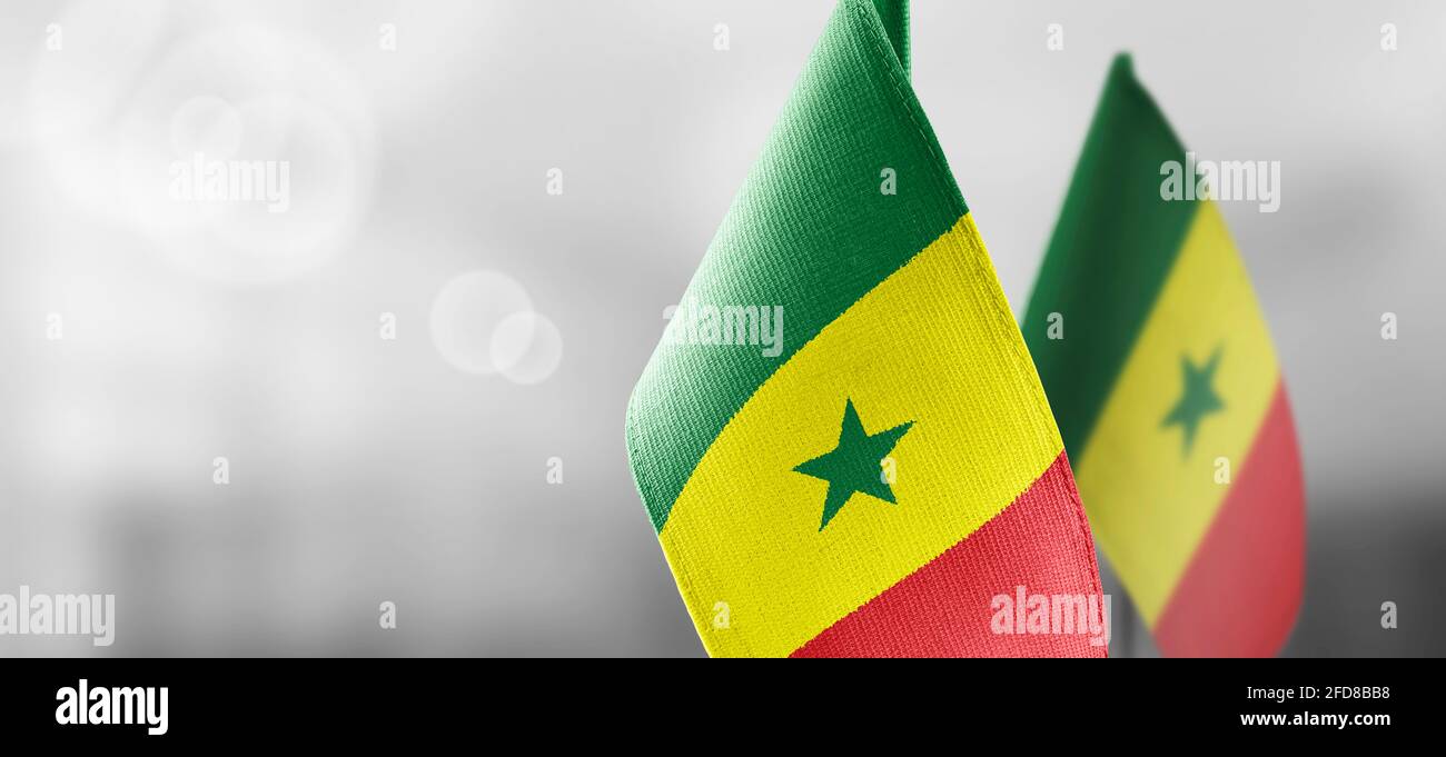 Small national flags of the Senegal on a light blurry background Stock ...