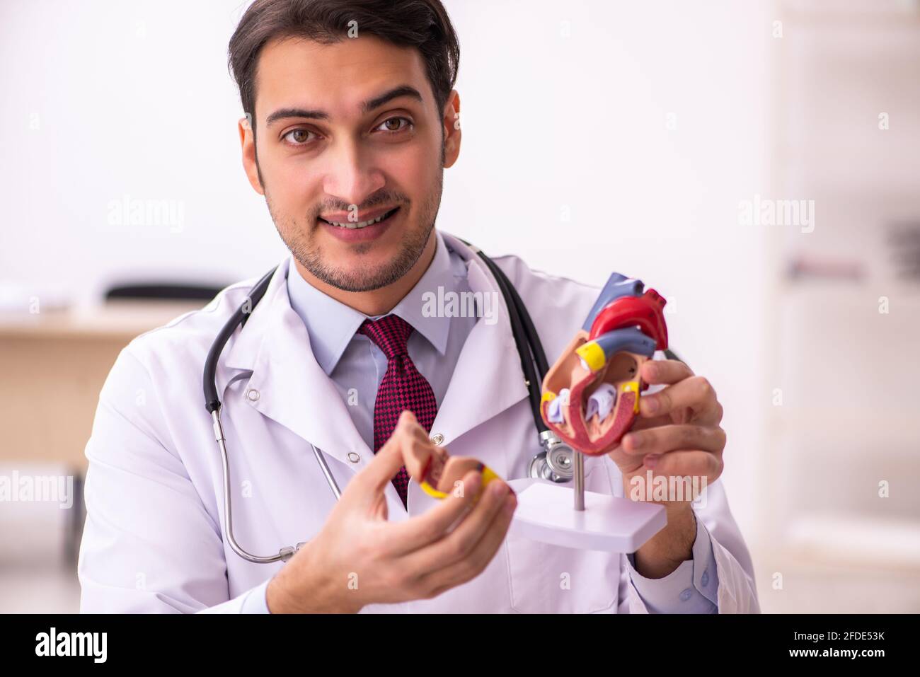Smiling male doctor cardiogram hi-res stock photography and images - Alamy