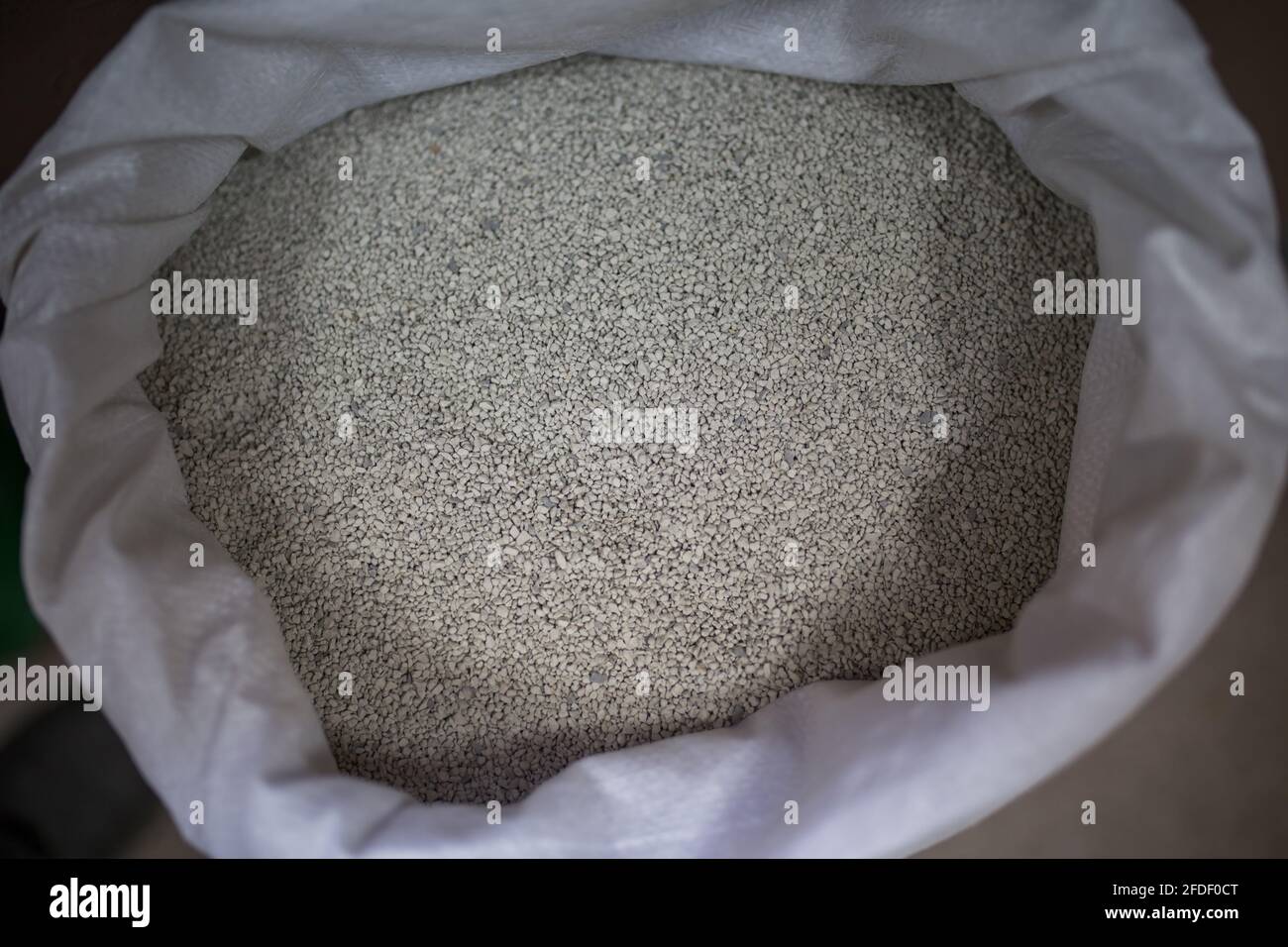 packing cat's filler for the toilet, sand or biological wood pieces ...