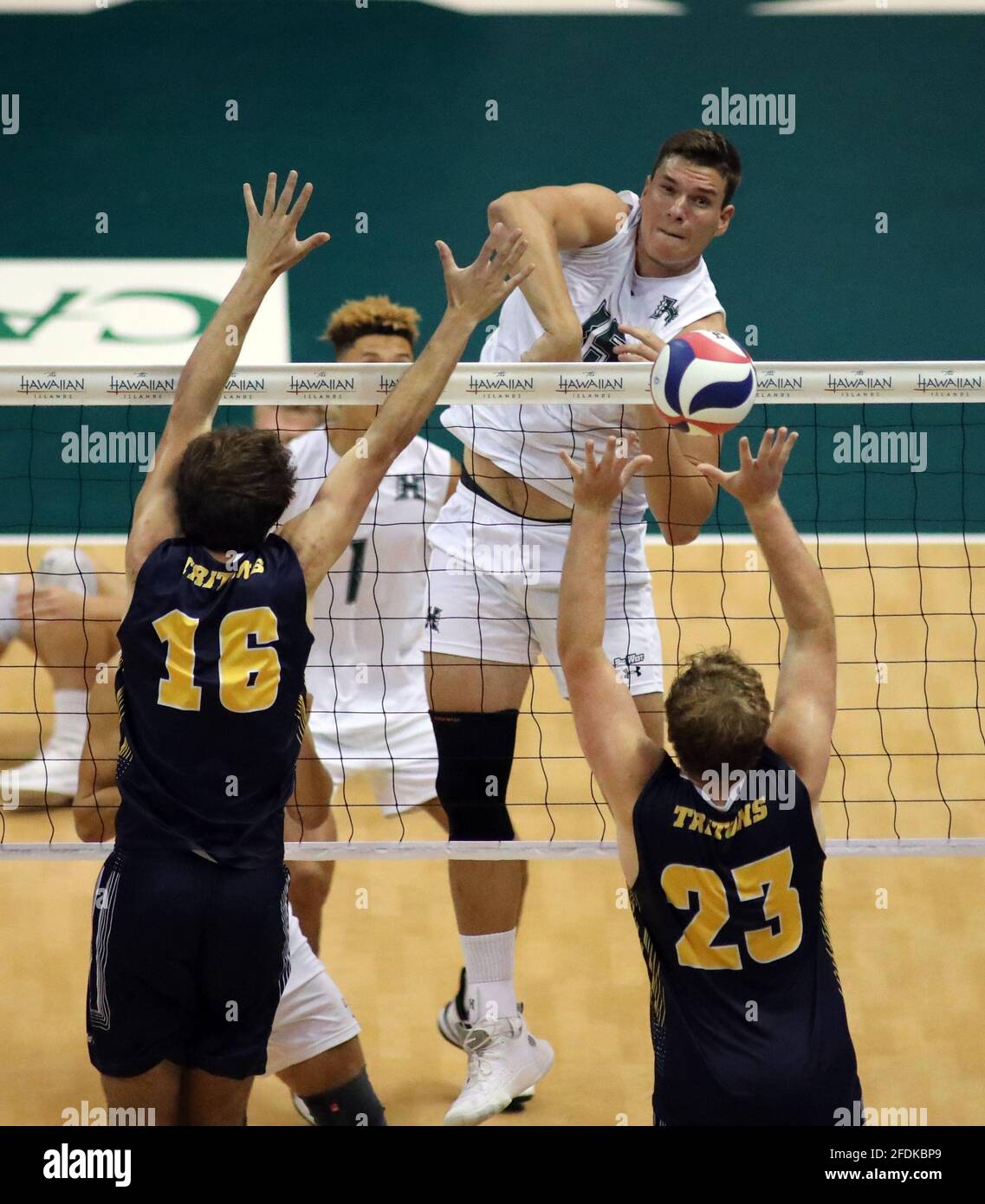 April 23, 2021 - Hawaii Rainbow Warriors middle blocker/opposite ...