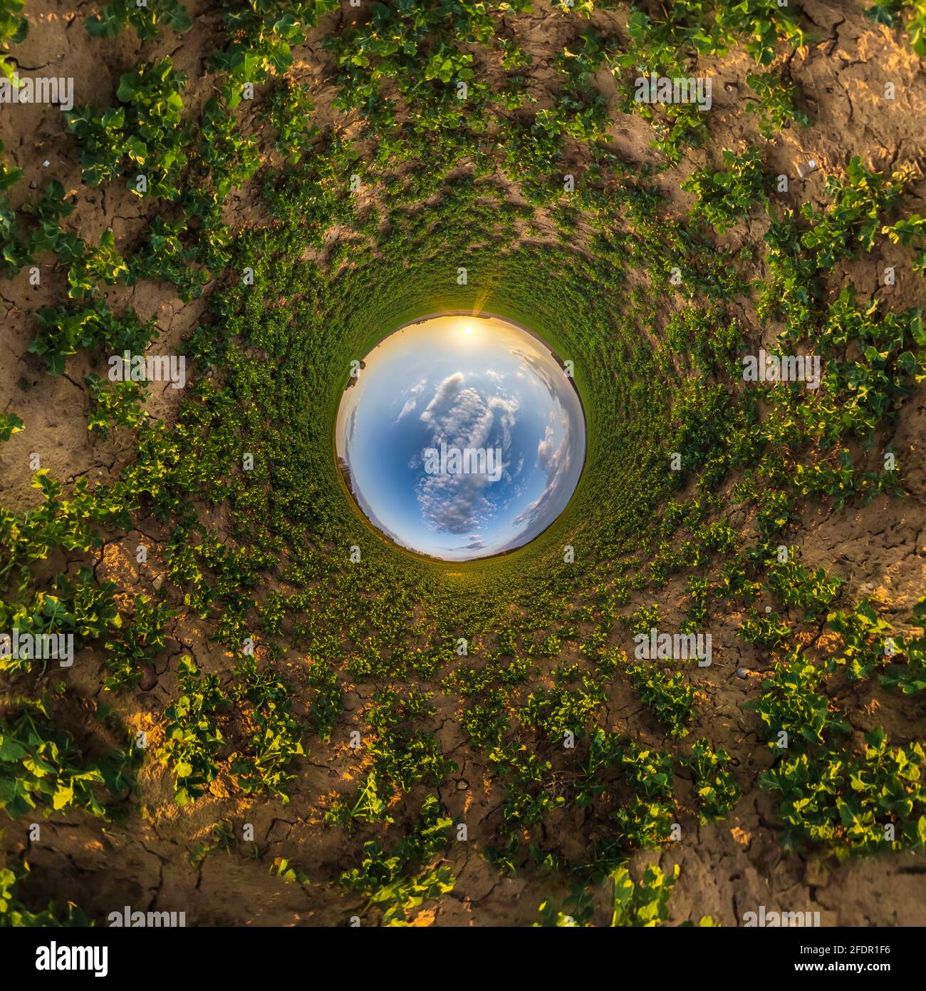 blue sky ball in middle of swirling field. Inversion of tiny planet ...