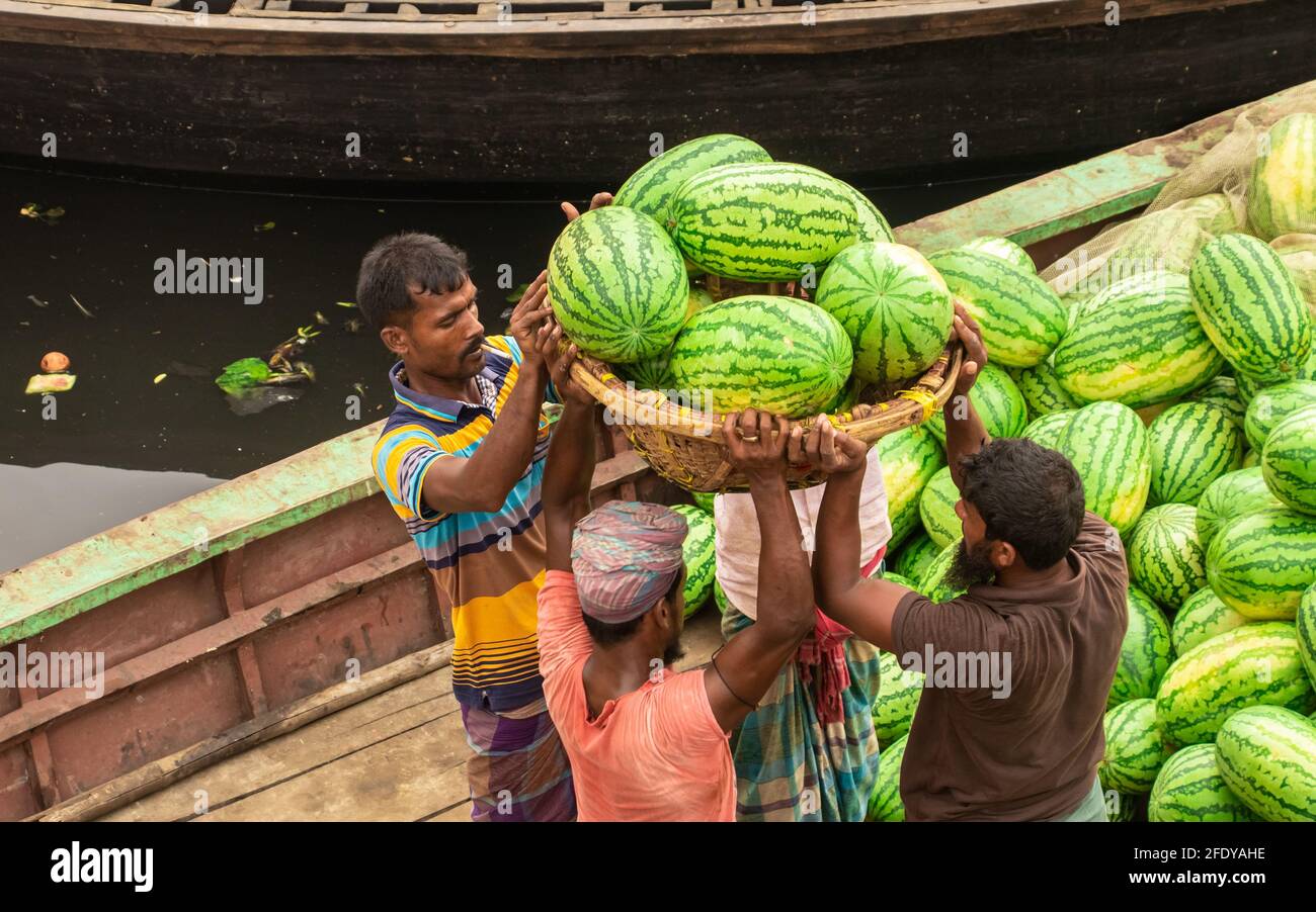 Watermelon uploading from the boat Stock Photo - Alamy