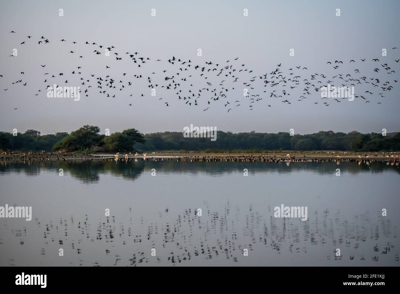 Beautiful mirror reflection of flying birds and blue sky on the waters ...