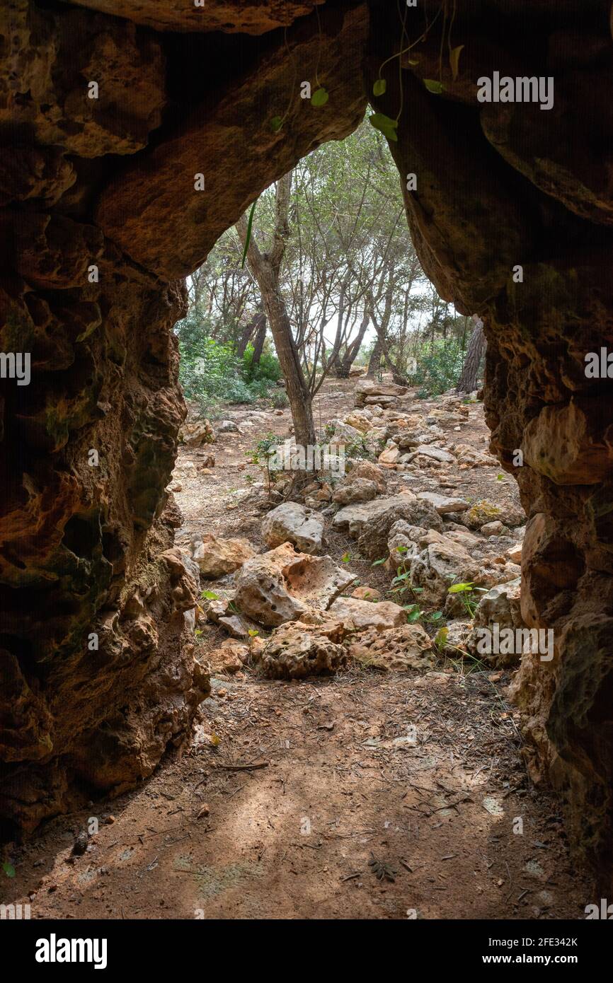 Forest captured from an archeological grotto Stock Photo - Alamy