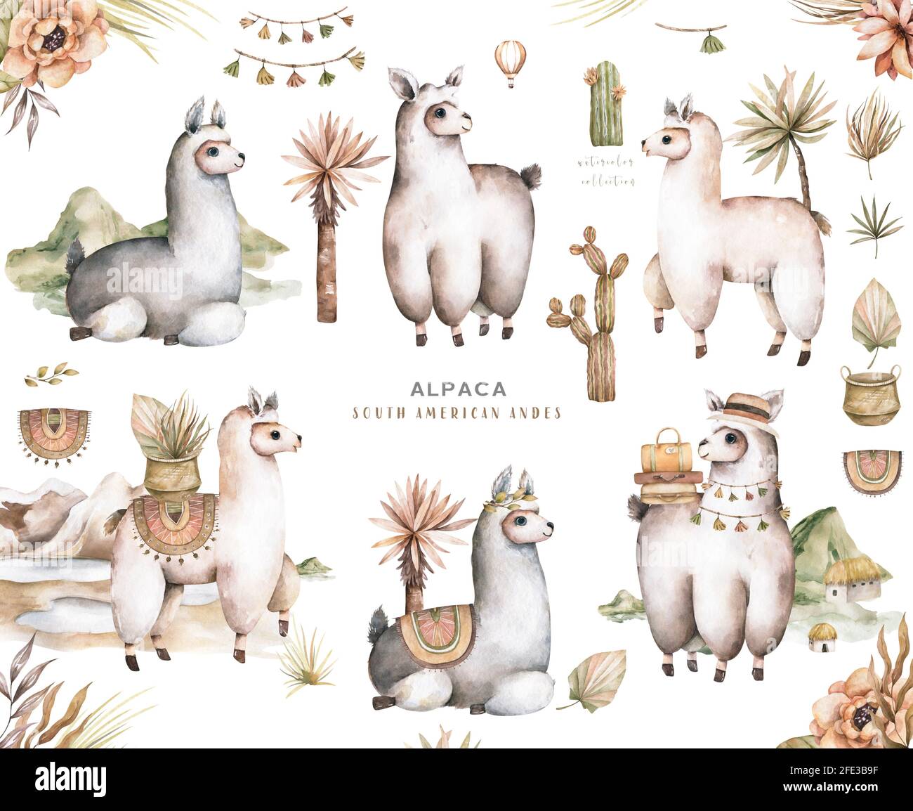 Cartoon lama watercolor illustrations. Cute llamas alpaca characters ...