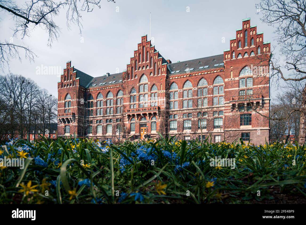 The historic red brick Lund university library in front of spring ...