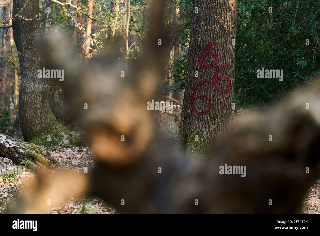 Devil worship hi-res stock photography and images - Alamy