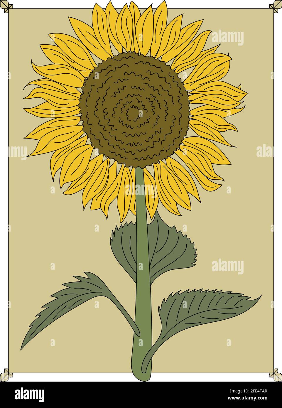 Hand drawn garden sunflower Stock Vector Image & Art - Alamy Hand drawn garden sunflower Stock Vector Image & Art - Alamy