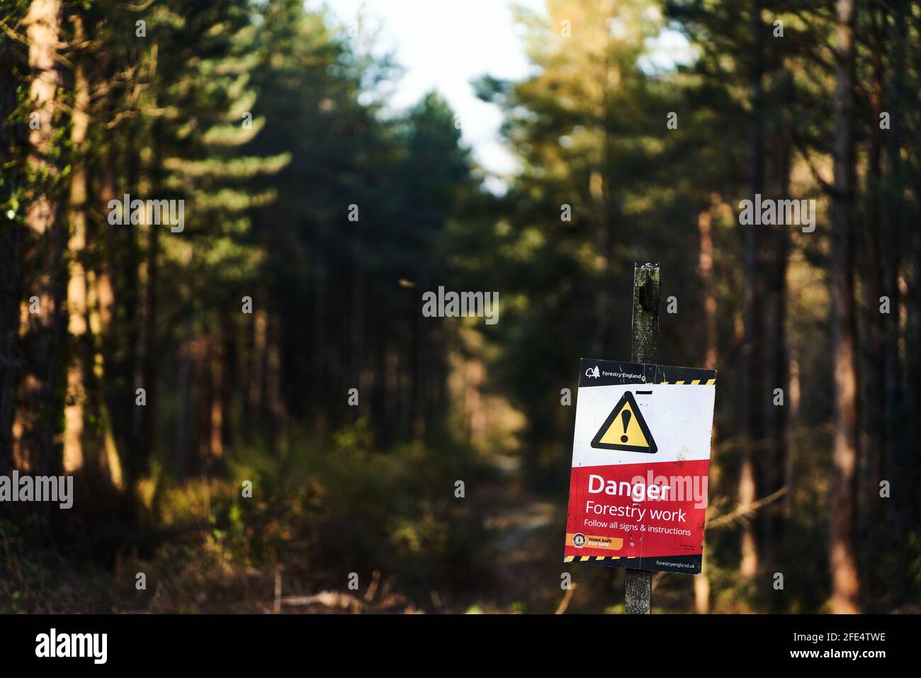 Danger Forestry work warning signs in a forest in Sussex Stock Photo ...